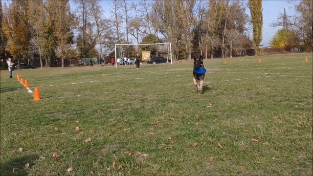 Frisbee-Манія 2018 .mp4