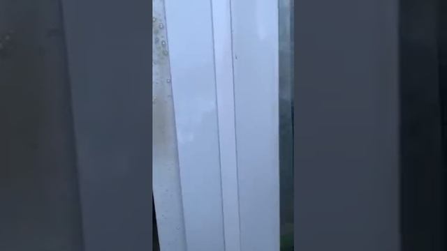 Дамла  Природный пятновыводитель компания Эрсаг