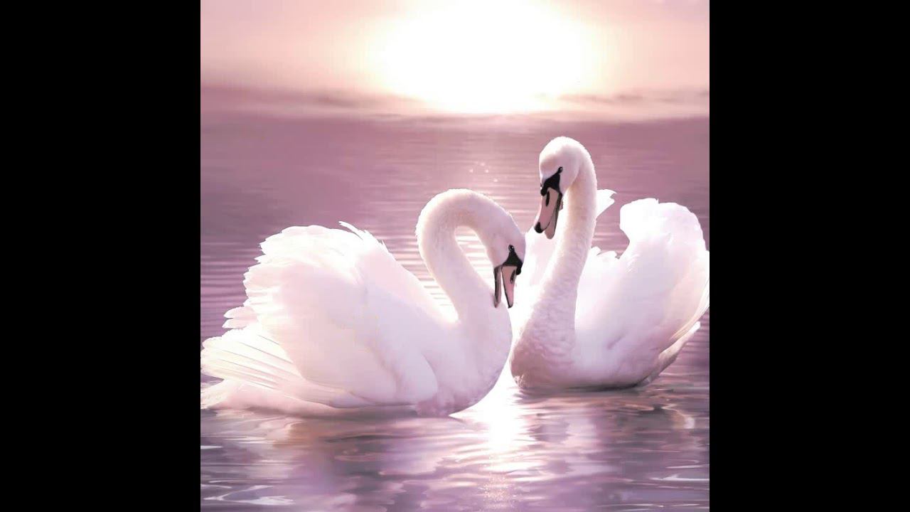 30 Лунные Сутки. Освобождение от Обид. Гармония с Природой. Техники - Практики.