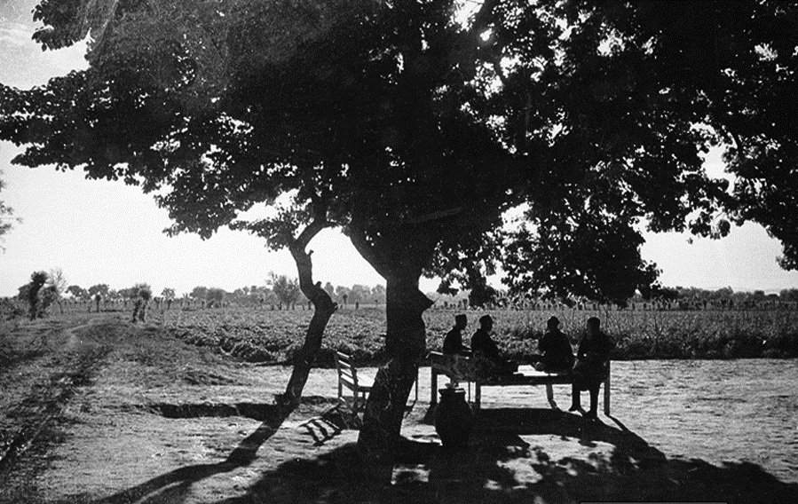 Домулло Ҳалим Ибодов - Domullo Halim Ibodov - Ҳусайнии Наво. Ғазали Ҷазбӣ