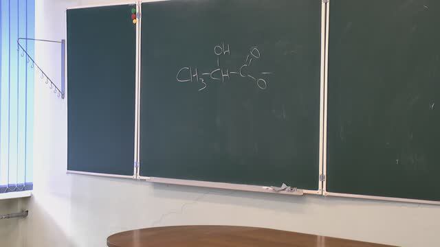 Доклад 3. Лактат и неожиданная эффективность ЗОЖ с точки зрения биохимии. Семёнов Д.А.