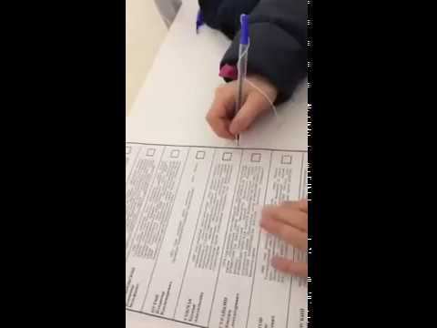 Голосуем за "собачек"