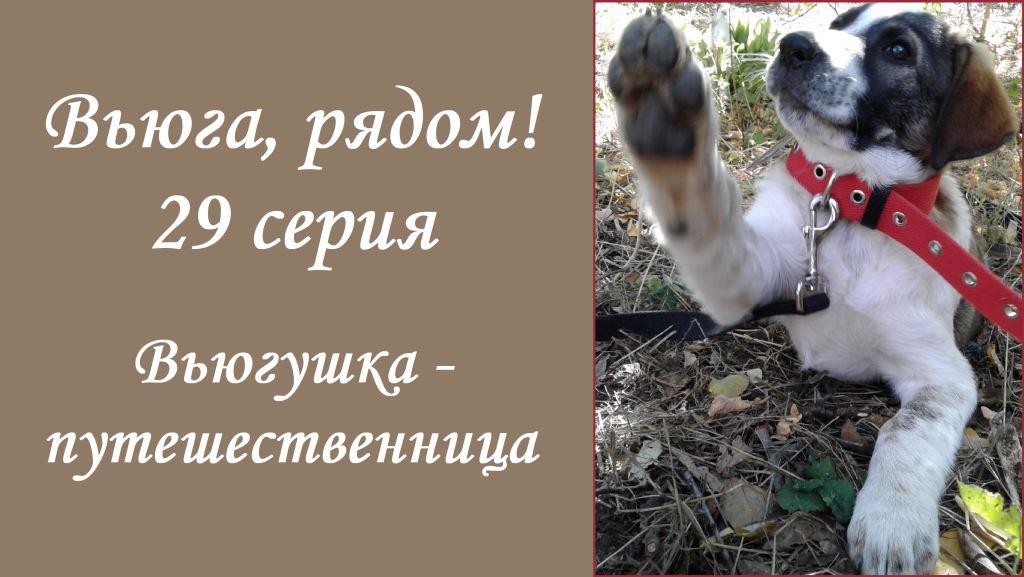 "Вьюга, рядом!" 29 серия "Вьюгушка-путешественница"   dub