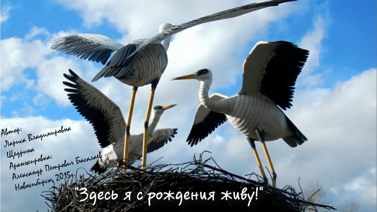 'Я здесь с  рождения живу!'