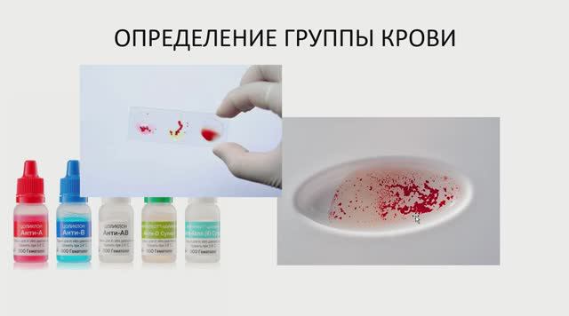 Физиология крови. Часть 3. Группы крови.