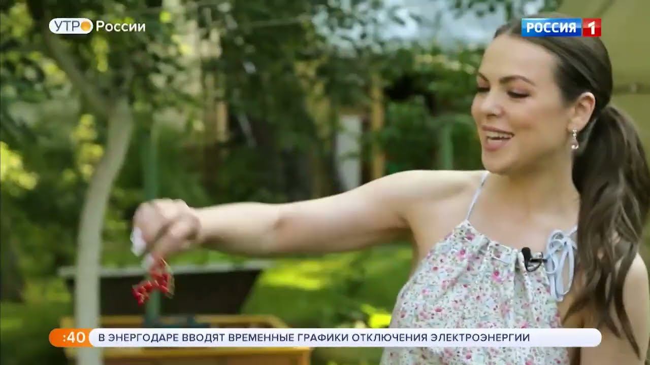 Руководитель FIXGARDEN как эксперт по плодовым в утреннем эфире РОССИИ 1. Смотрим вместе!