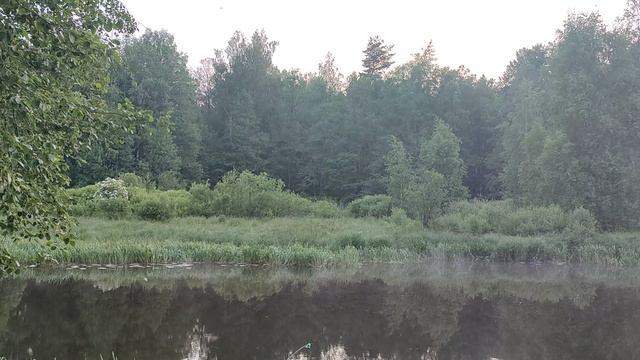 16 июня 2023 р. Булатная с Семёном VID_20230617_035245