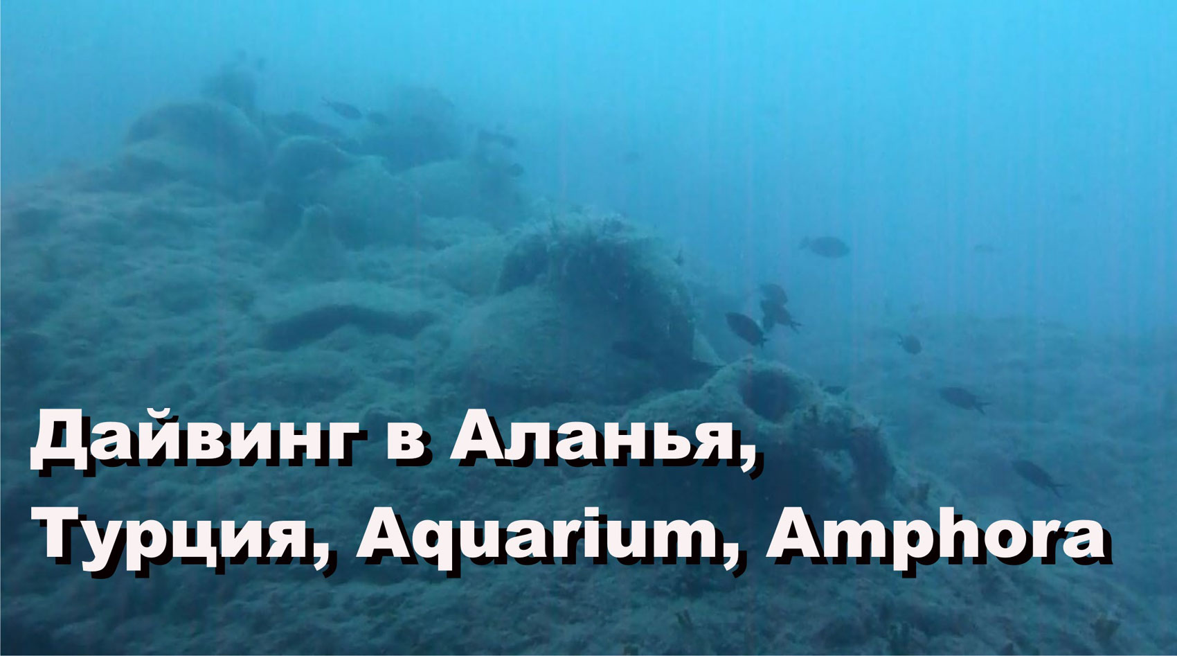 Diving . Дайвинг