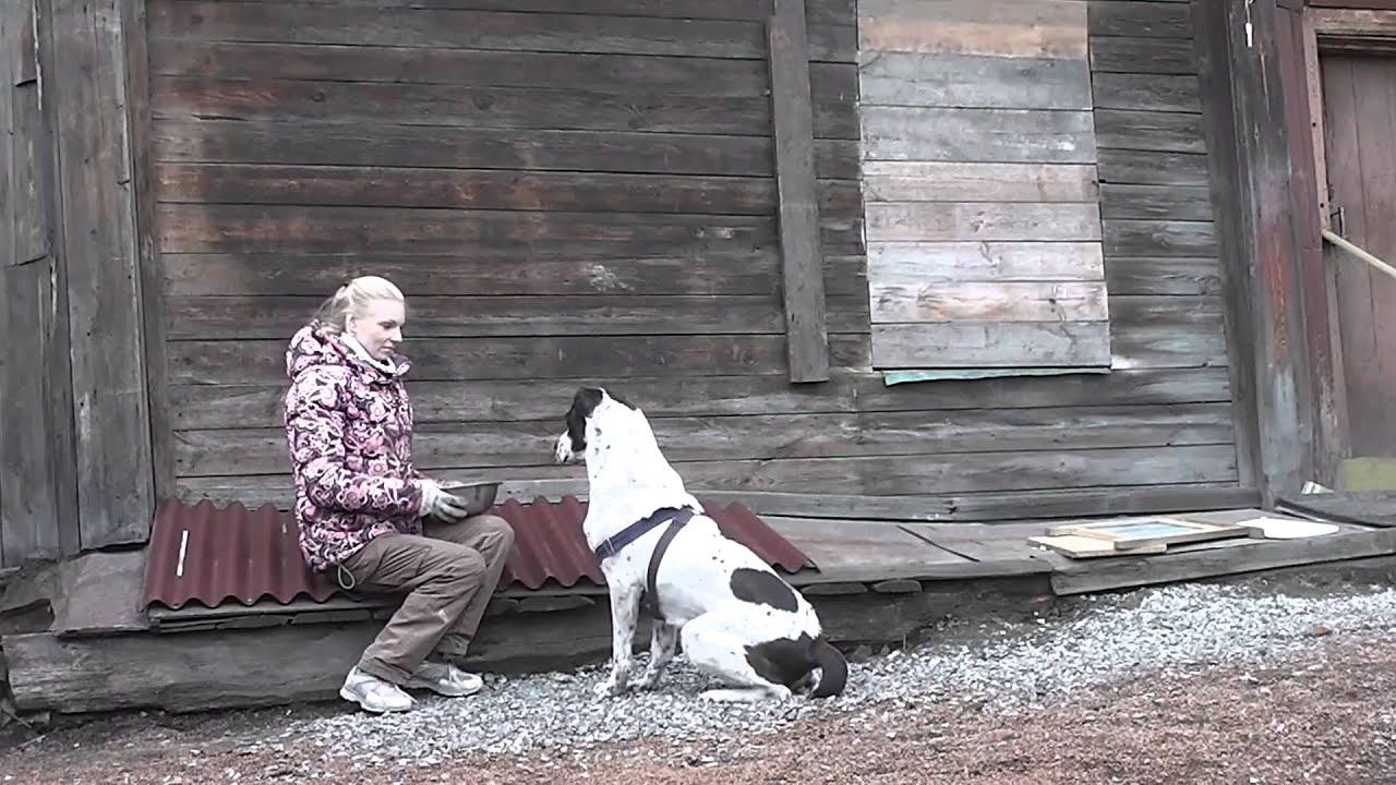 Мара изучает наши правила