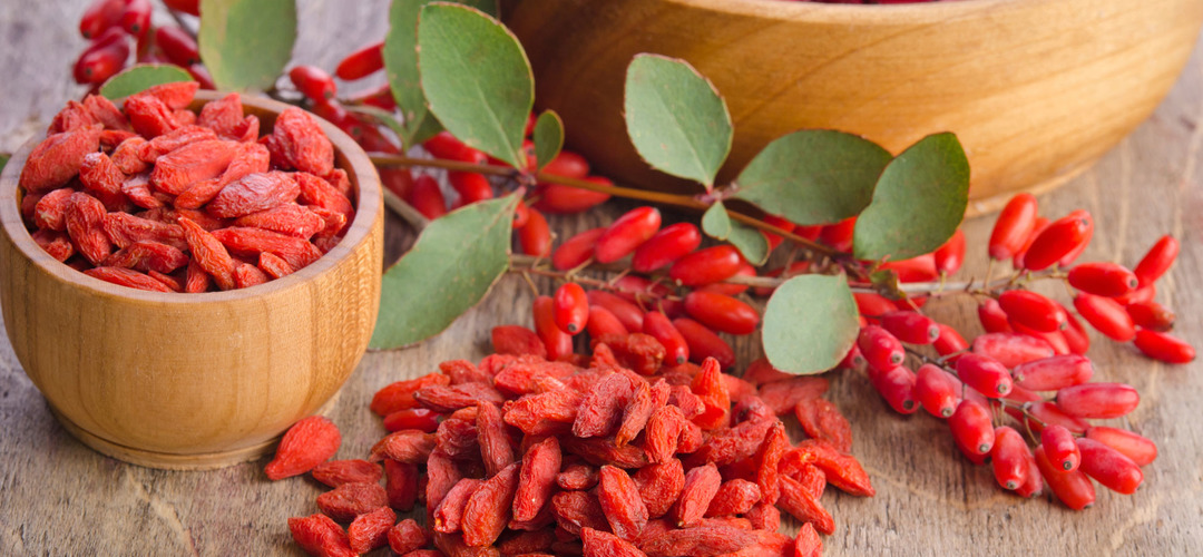 Как выращивают и что производят из ГОДЖИ