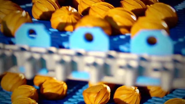 ГРАНЪ: стендовое видео для выставок – яркий видеофон компании