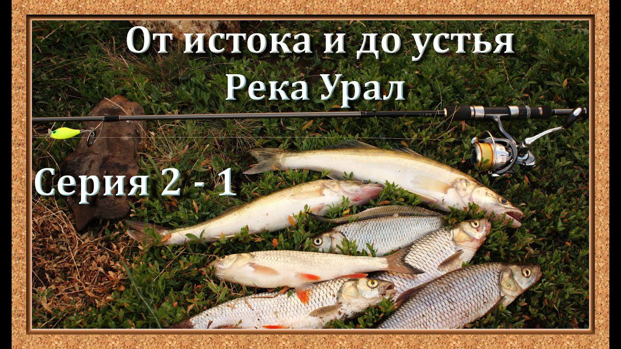 Река Урал: от истока и до устья. Серия 2 - 1 -- Первый судак на перекате