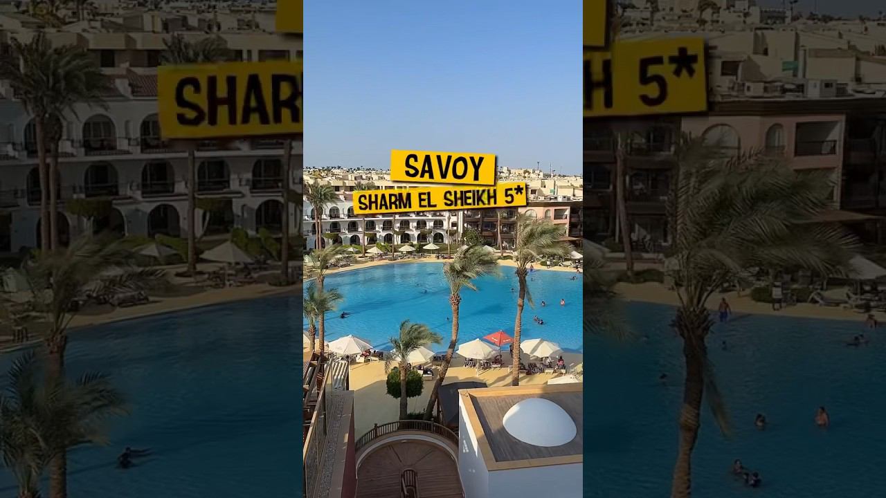 ️ Savoy Sharm El Sheikh 5* ✈️ Летим в Египет  Один из лучших отелей  #отдыхвегипте