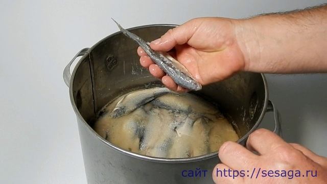 Как вялить рыбу в домашних условиях
