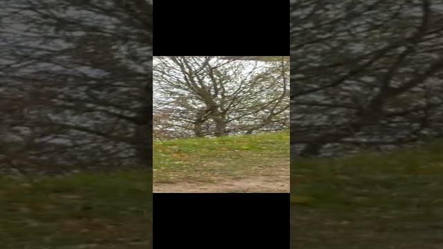 WhatsApp Video 2021-10-21 at 14.43.56.mp4