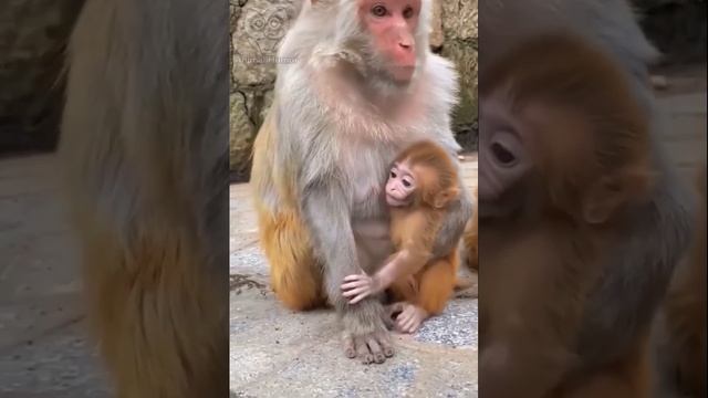 Милый непослушный малыш.