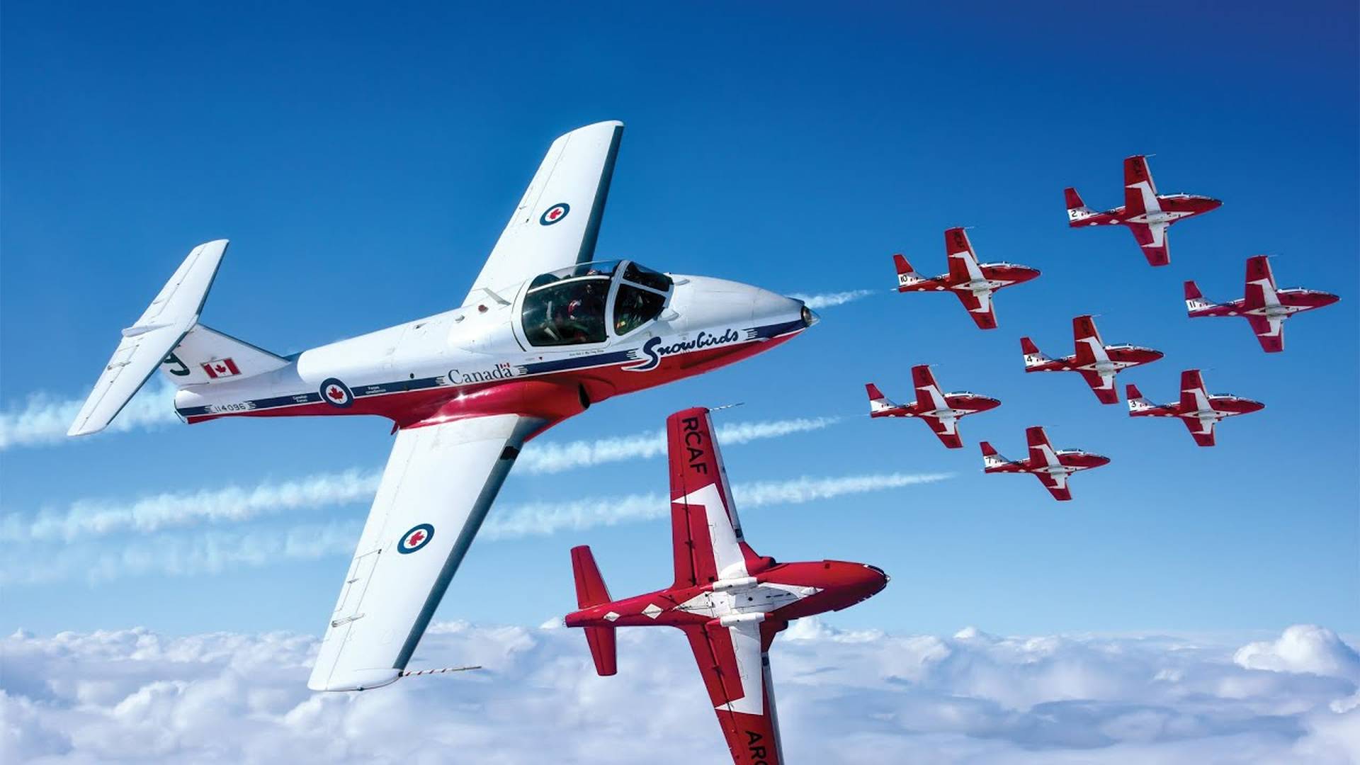 Канадская Лётная Группа СНЕГИРИ _ CF Snowbirds _ Авиашоу в Торонто 2 сентября, 2024