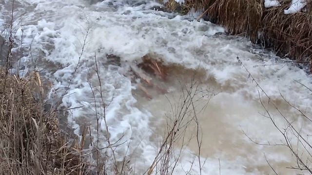 Бурлят ручьи.