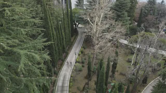 Ялта-21. 10 серия. Ещё один маршрут