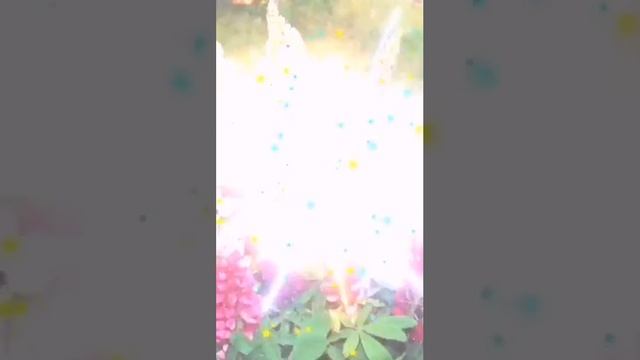 Волшебный мир. Люпин