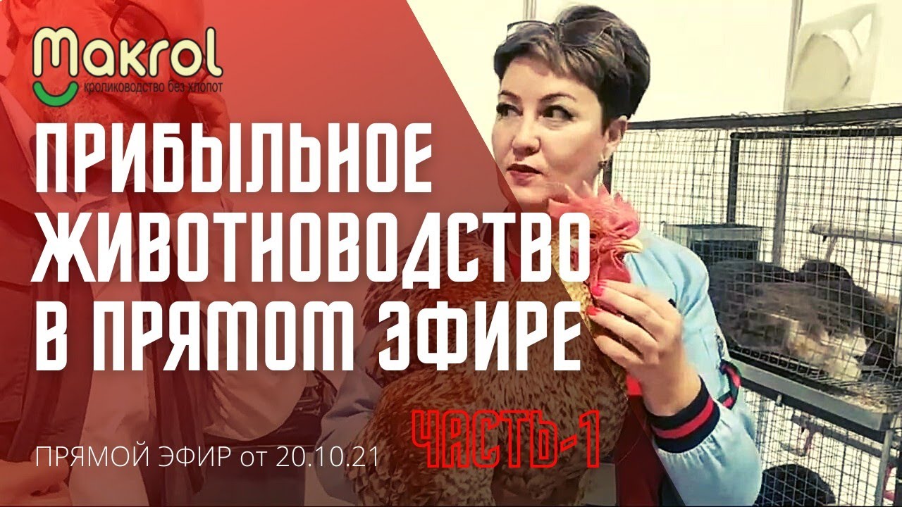 ?Конкурс кроликов и встреча кролиководов в ПРЯМОМ эфире Макляк Макрол ЧАСТЬ-1