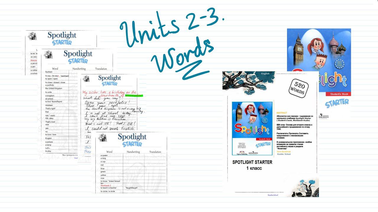 28. Spotlight Starter. Вордбук. Words. Unit 2-3