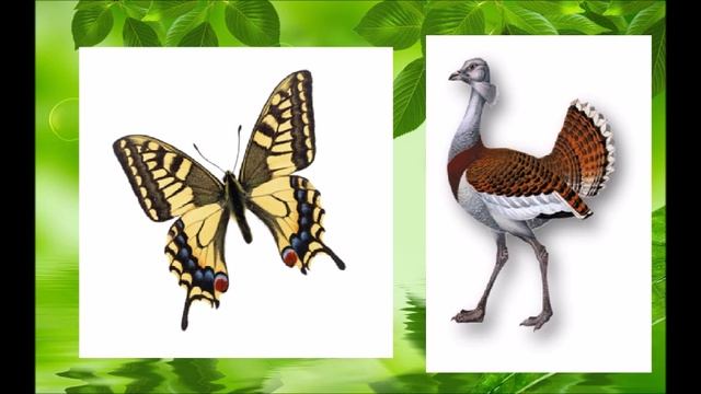 МОУ "Детский сад № 343 Красноармейского района Волгограда"