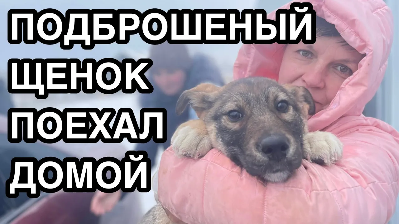 Спасение животных_ Щенок из мешка поехал домой