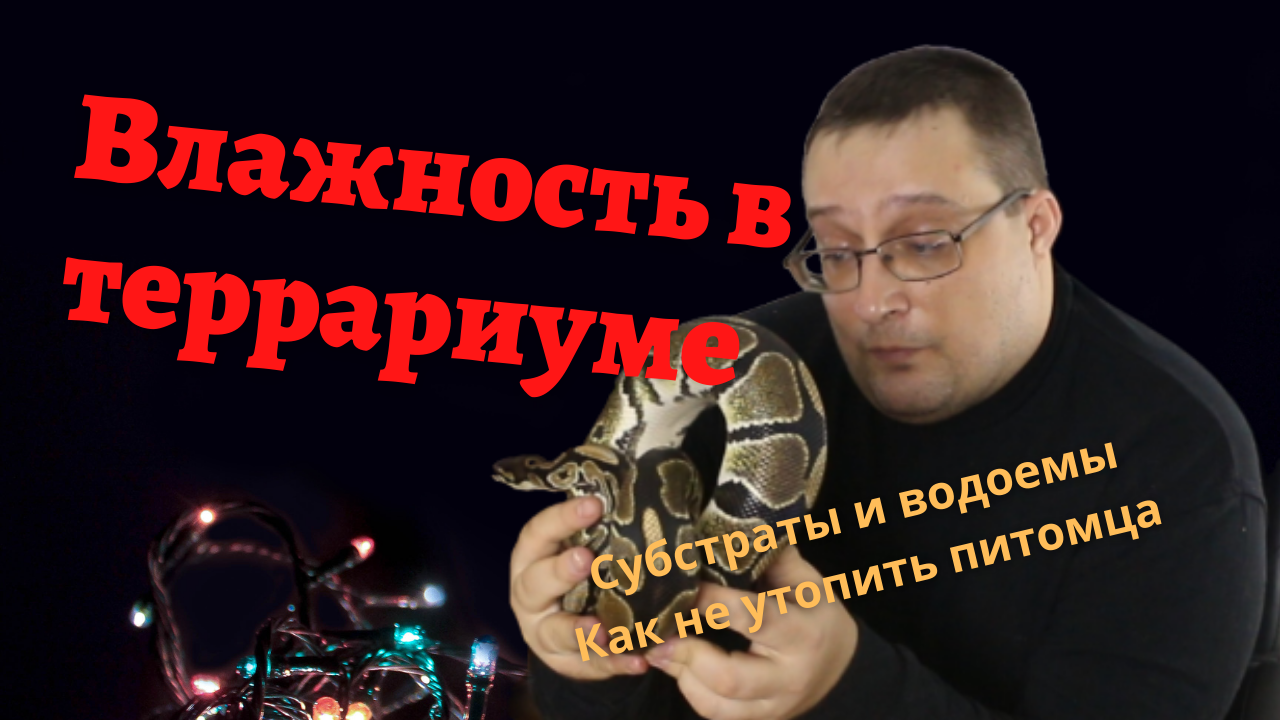 Влажность в террариуме.  Субстраты и водоемы.