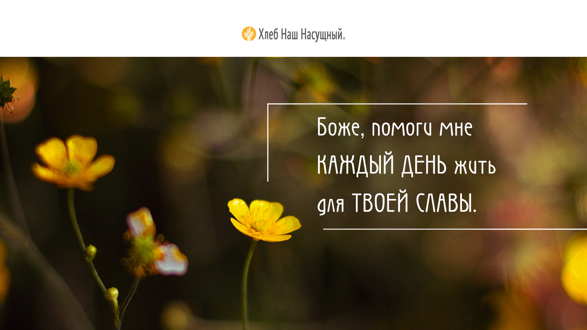 Свидетельство на рабочем месте	| Ежедневное христианское чтение |	18	апреля 2022