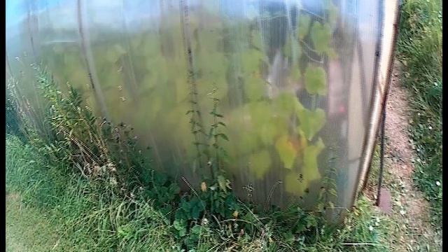 Испытание самодельного диска для триммера.