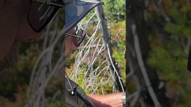 ТерПуты. Странность на горе Воттоваара.