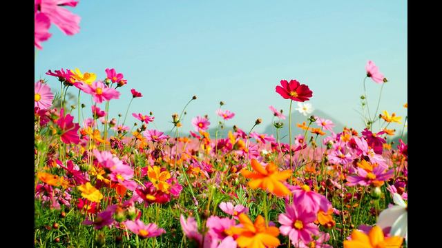 Людмила Кузнецова-Киреева. Мисс Жара