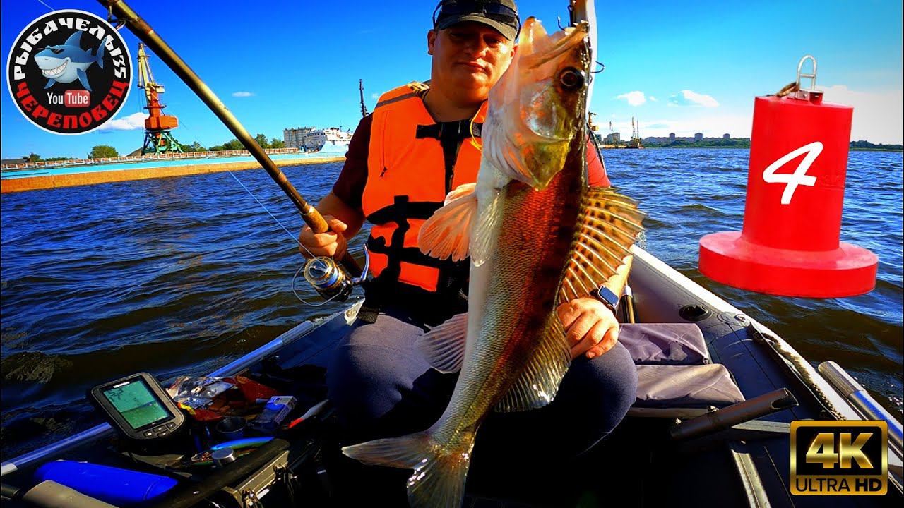 Судак на троллинг в 4"К" на р.Шексна в Августе  2022г.Раздача СУДАРЯ!!!4-ий выпуск!!!НОВЫЕ ТОЧКИ