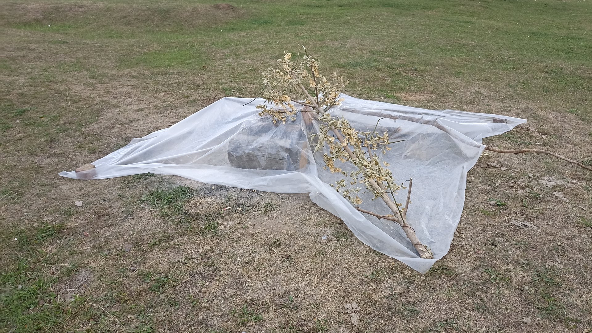 Простая и удобная защита от дождей во время отдыха на природе