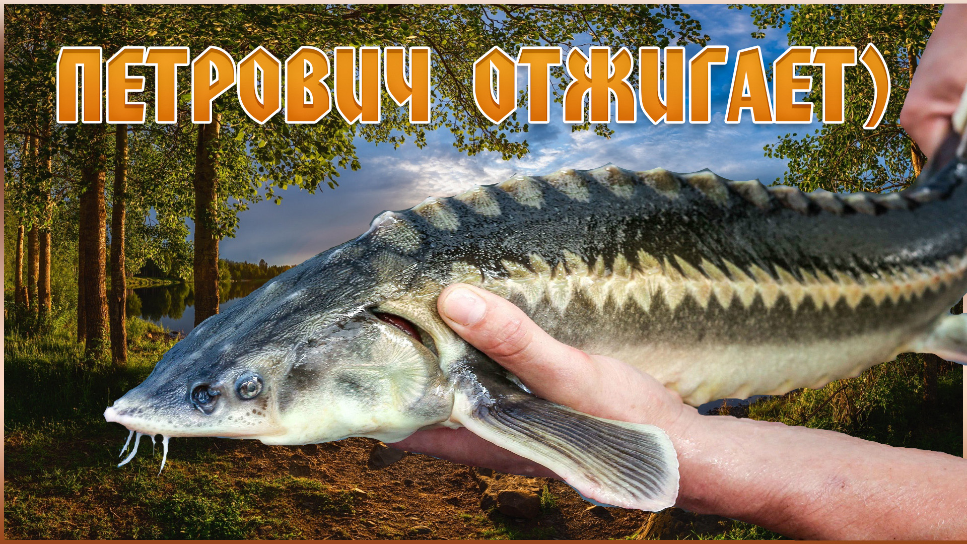 Русская рыбалка 4 РР4 Rf4 ? ПЕТРОВИЧ ОТЖИГАЕТ ! АХТУБА, СИНИЙ ОСЬКА! Ё МАЁ ) 100.57 кл 18 ?