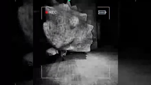 Ежики с блендера (Content Warning)