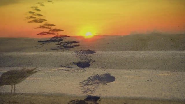 Мы нуждаемся в мужестве. 5 июня. День за днем в Ал-анон. Ежедневник для созависимых