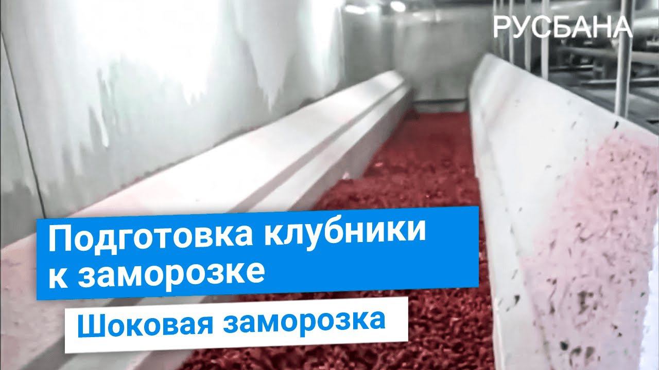 Заморозка клубники  с очисткой  от плодоножки и без