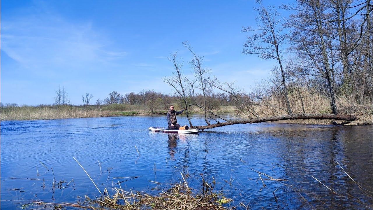 Сапсёрфинг в Пасхальное воскресенье на Усманке 16 апреля 2023г