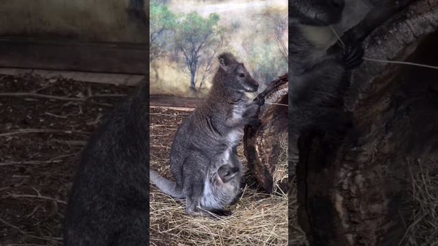 Новости Москвы и немного больше
06.05.2024