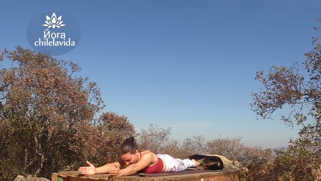 ДОМАШНЯЯ ЙОГА ОНЛАЙН _ Йога для всех _ Занятия йогой _ Йога chilelavida