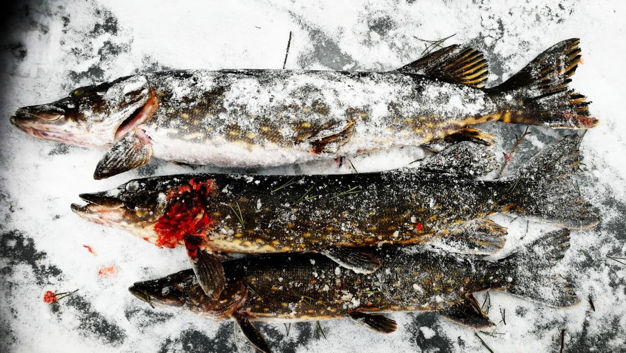 спиннинг Kastking и забавный воблер с АлиЭкспресс