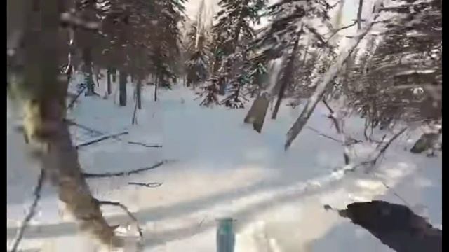 Владимир Черняев Нет пути назад