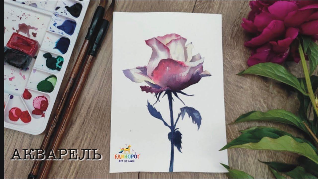 АКВАРЕЛЬ, КАК РИСОВАТЬ ЦВЕТЫ . УРОКИ РИСОВАНИЯ . ПРОСТО РИСУЕМ .