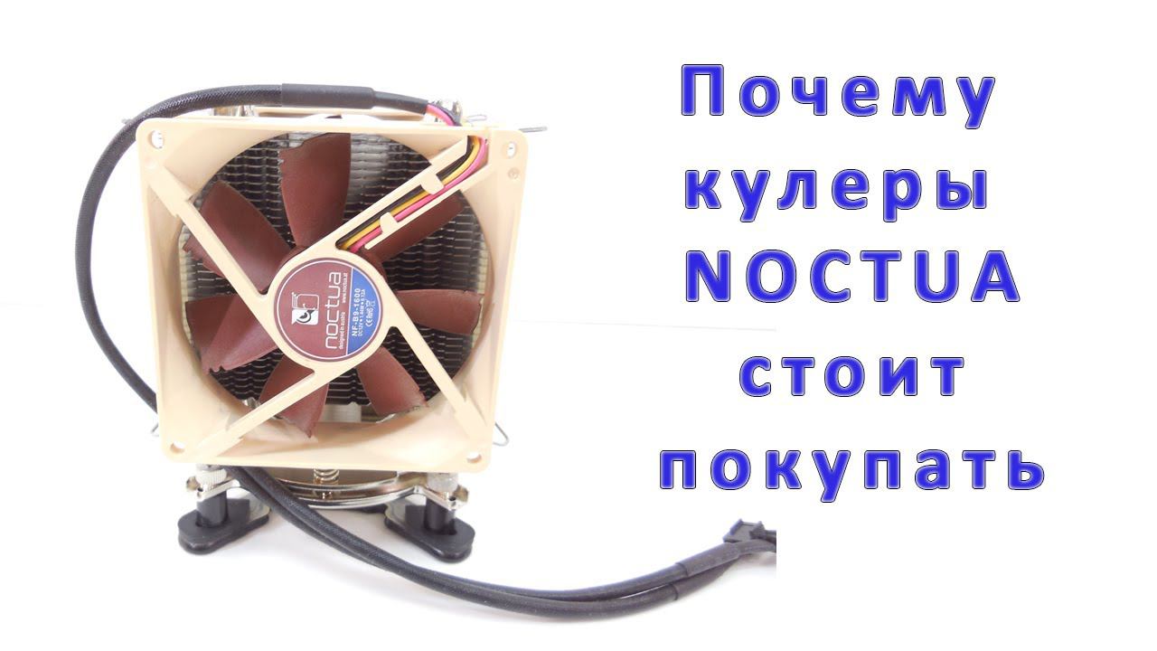 Кулер ноктуа Noctua NH-U9B и почему их стоит покупать. Отличная гарантия и поддержка.