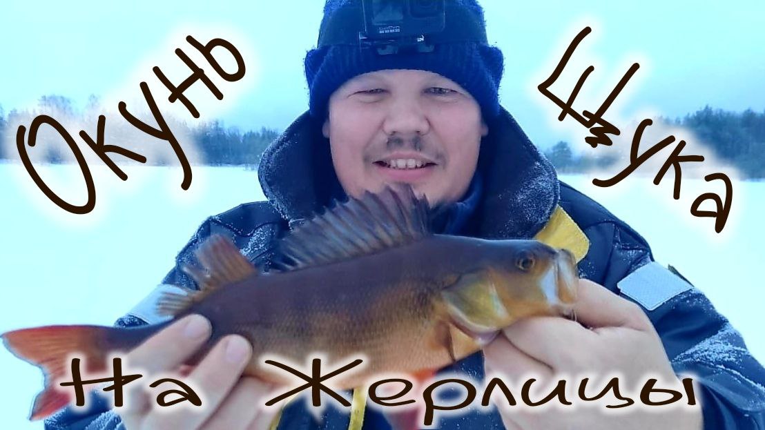 Зимняя рыбалка , Щука,окунь на жерлицы в лесу , рыбалка на болотах