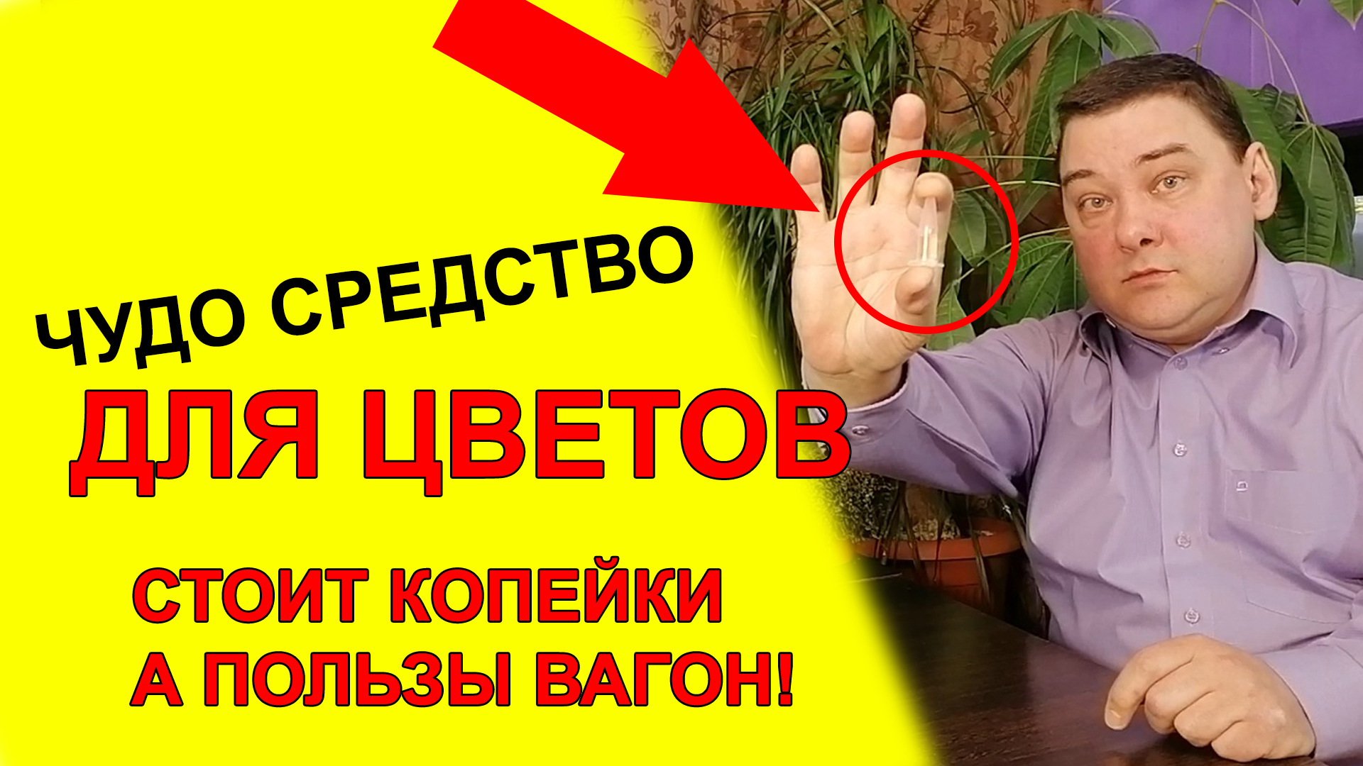 Мощное средство для растений. Стоит копейки а пользы вагон!