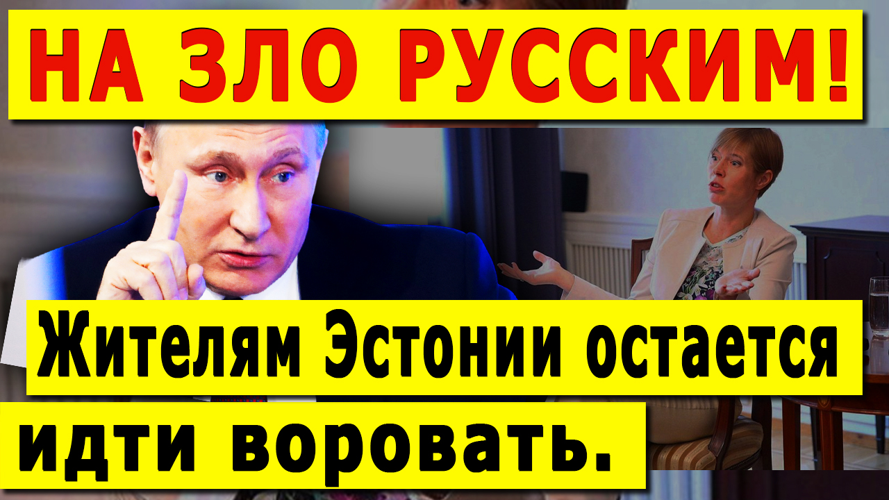 НА ЗЛО РУССКИМ! Жителям Эстонии остается только идти воровать.