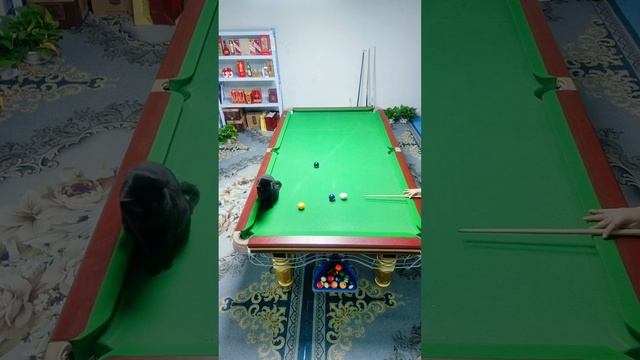 02-03-2024 помогатор